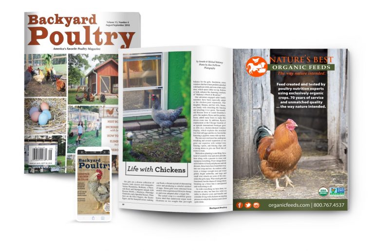 - Backyard Poultry